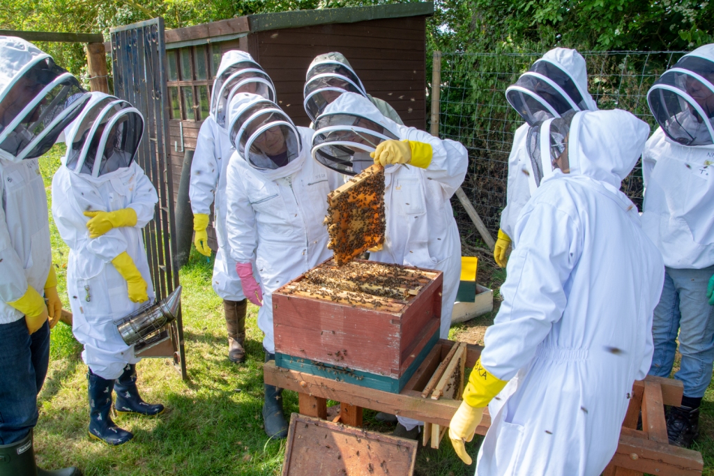 Visit the Apiary | Northamptonshire Beeskeepers' Association – NBKA